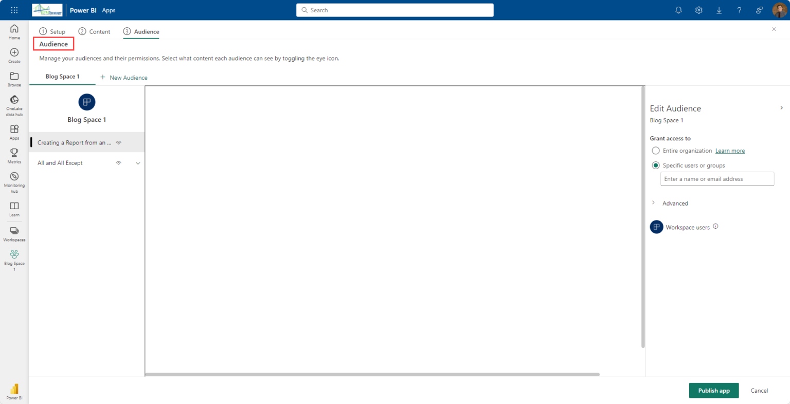 Power BI – Managing App Audiences : :: Welcome To EPM Strategy