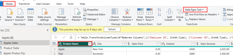 Power BI – Changing Data Types in Power BI : :: Welcome To EPM Strategy