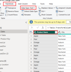 Power BI – Changing Data Types in Power BI : :: Welcome To EPM Strategy