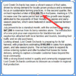 Power BI – Text Box Dynamic Values : :: Welcome To EPM Strategy